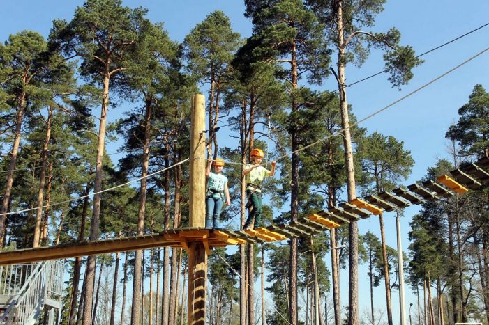 Knothead - Serious About Fun!